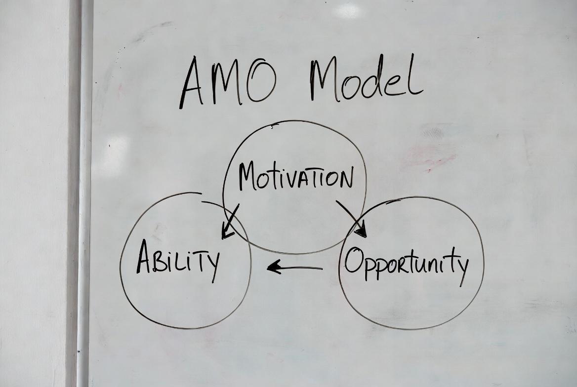 The AMO Model Explained: Ability, Motivation and Opportunity in HR