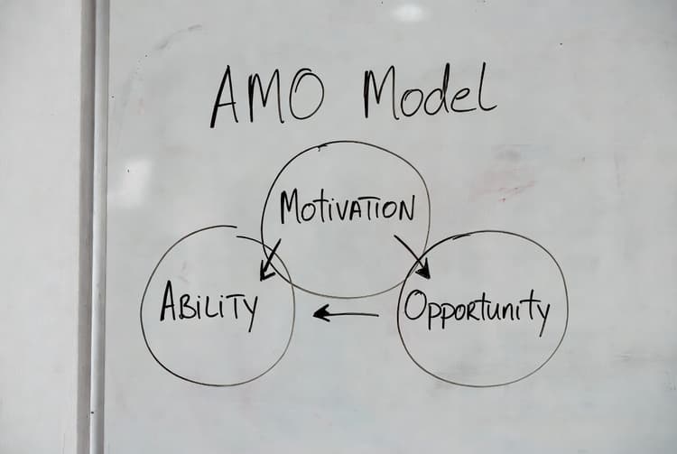 The AMO Model Explained: Ability, Motivation and Opportunity in HR